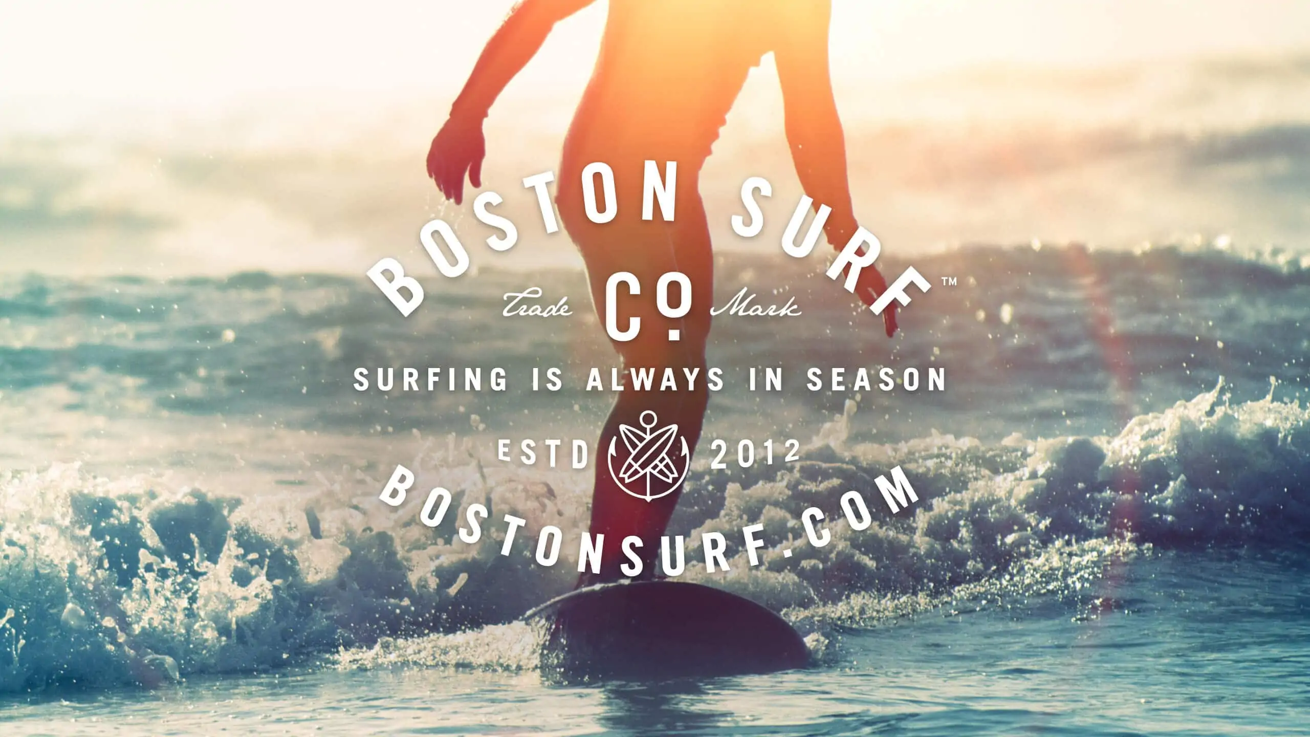 Brand Strategy - Sprout Studios