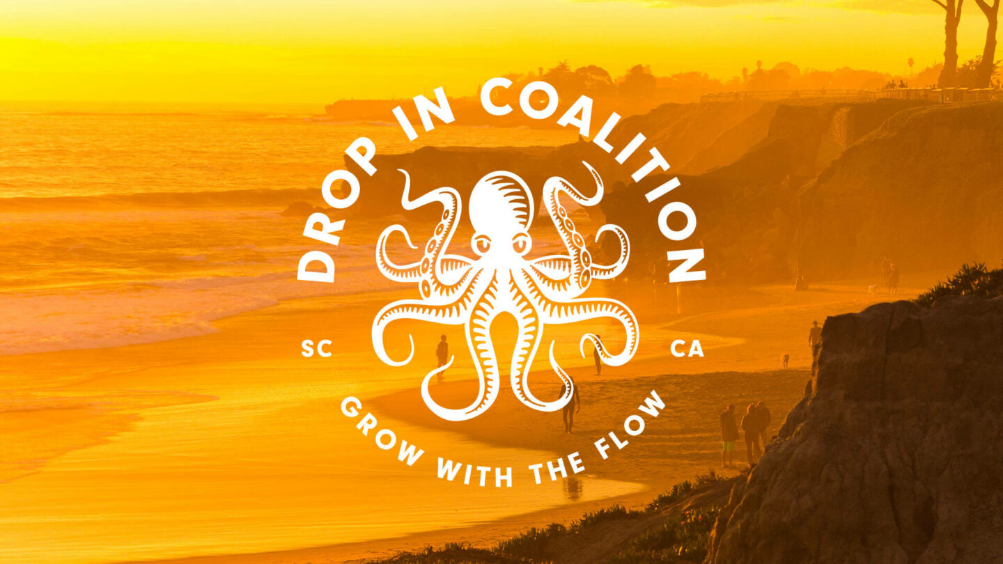 drop-in-coalition-sprout-studios